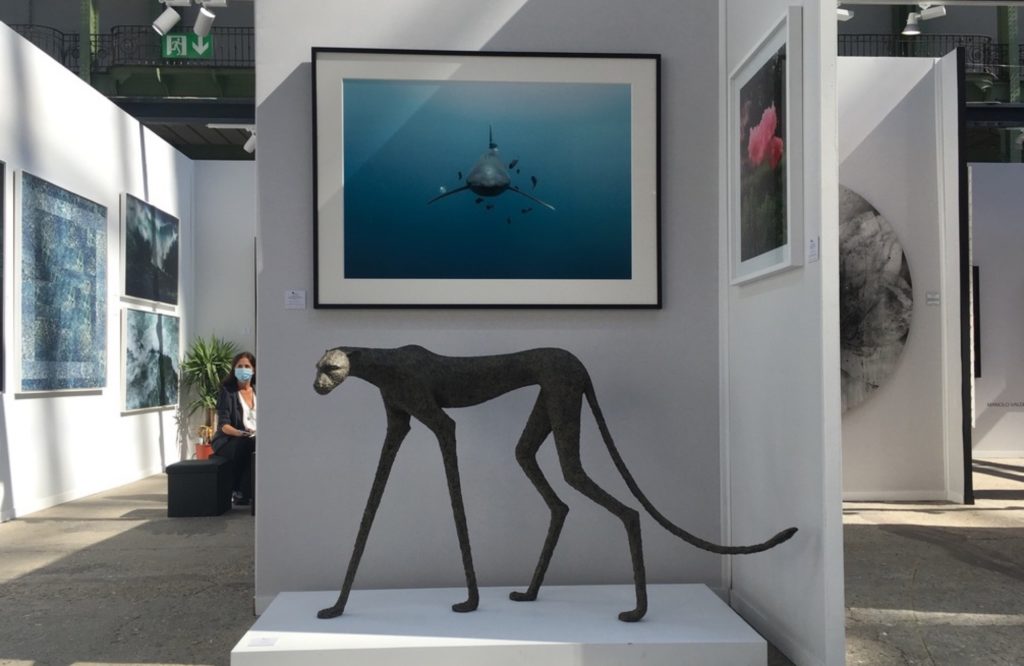 Art Paris 2020 - Syma News : votre magazine d’actualité